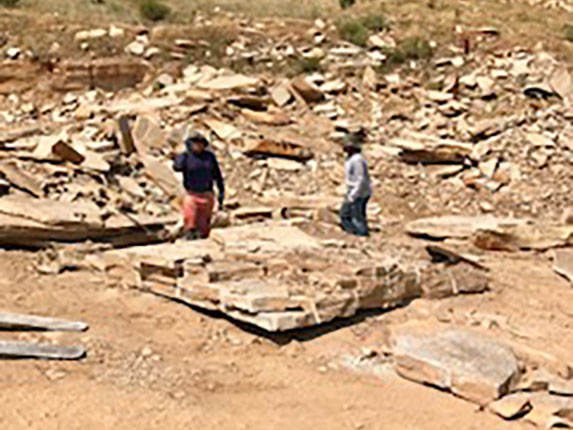 Direct Suppliers Recommended by Sprague Stone